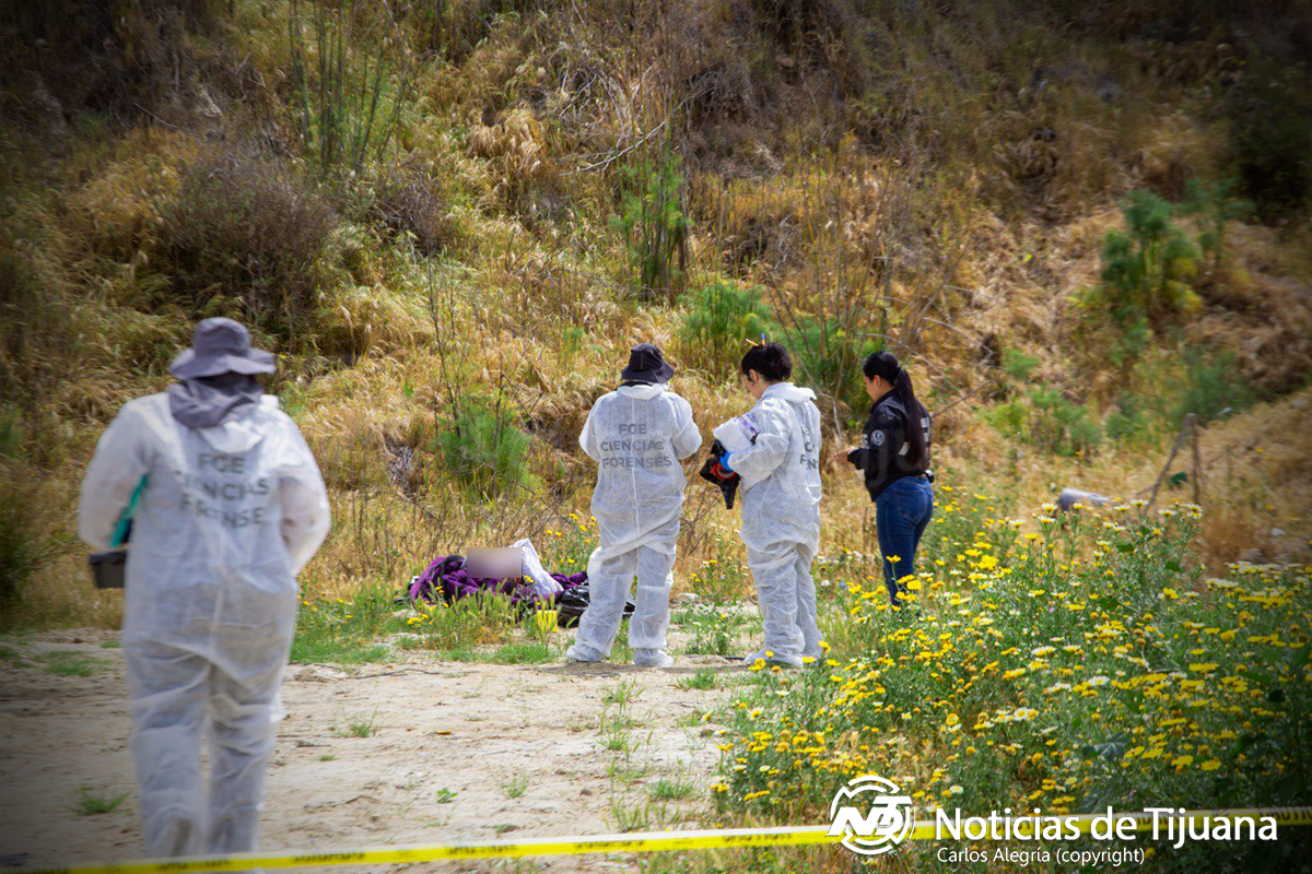 Localizan cadáver envuelto en cobija en colonia Pedregal - NDT Noticias de Tijuana